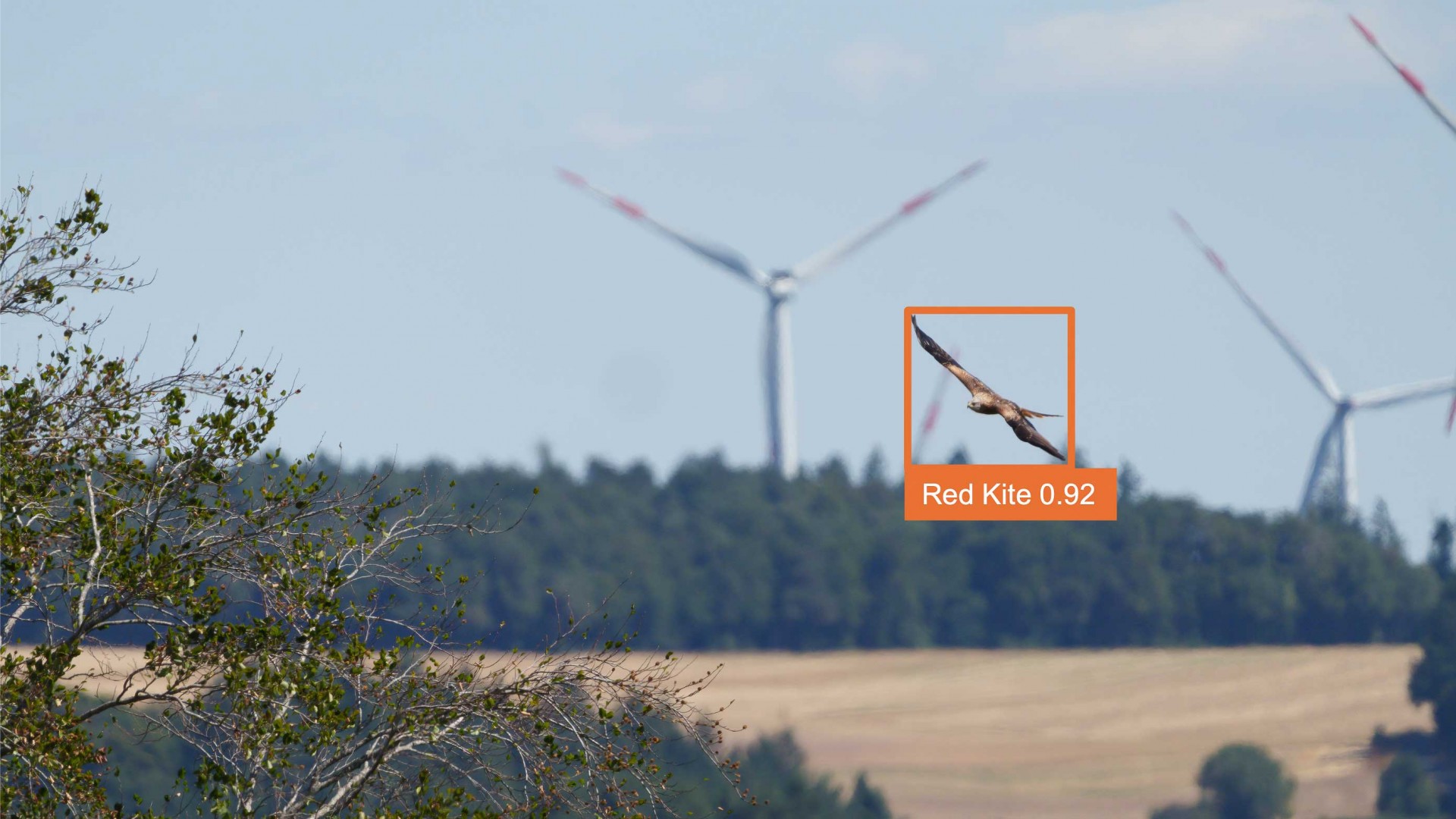 protecbird.com — ProTecBird enables successful protection of the red kite around wind turbines ...