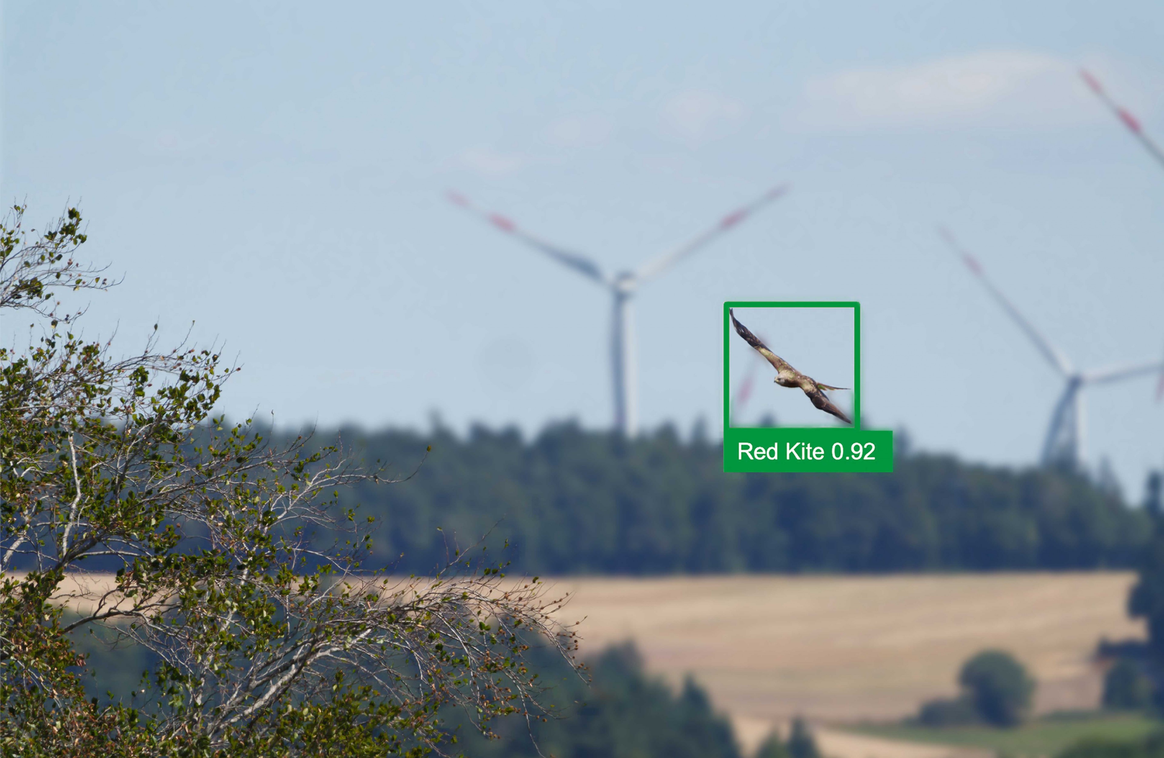 protecbird.com — AVES Wind® Antikollisionssystem