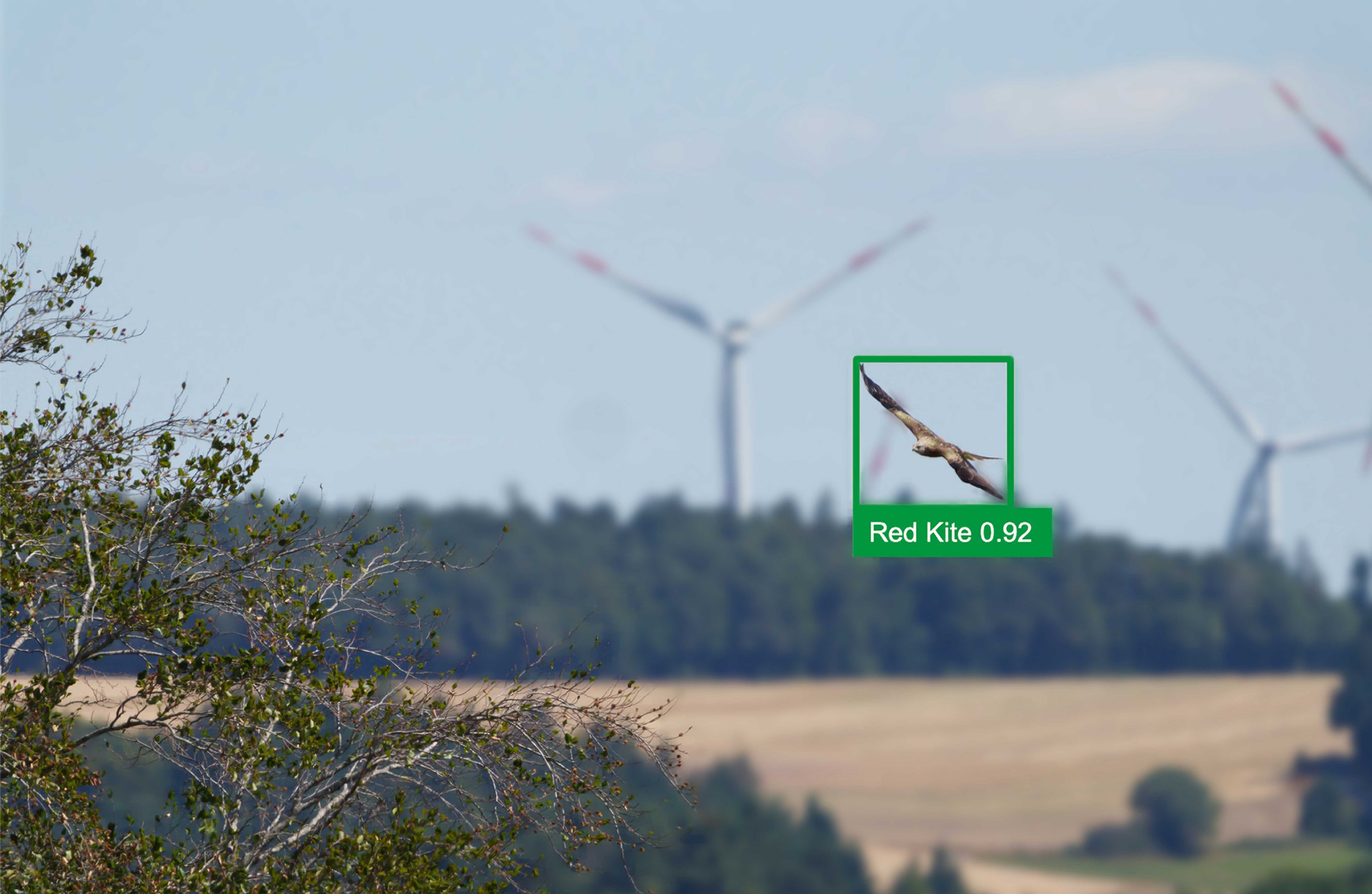 protecbird.com — AVES Wind® Antikollisionssystem